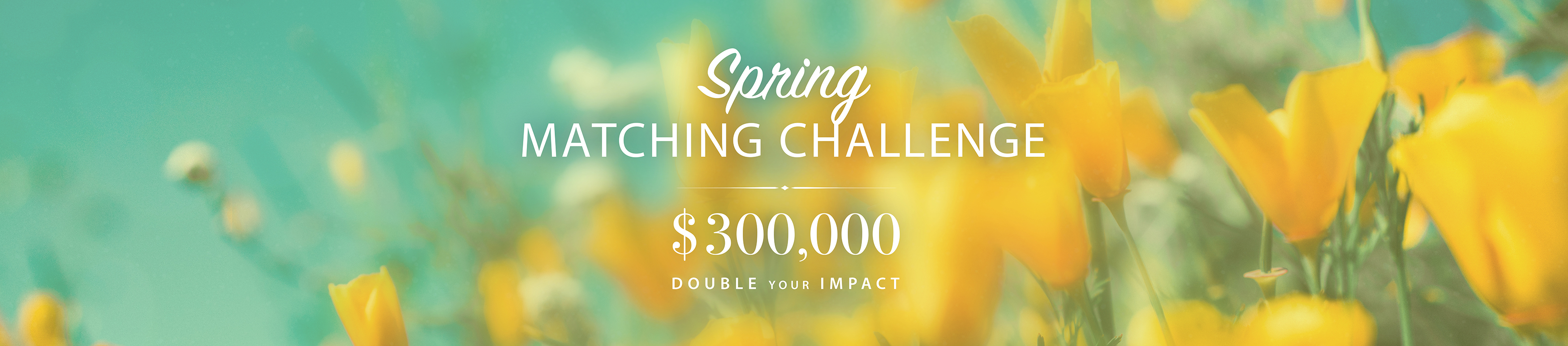 Spring Matching Challenge - Raising for Effective Giving
